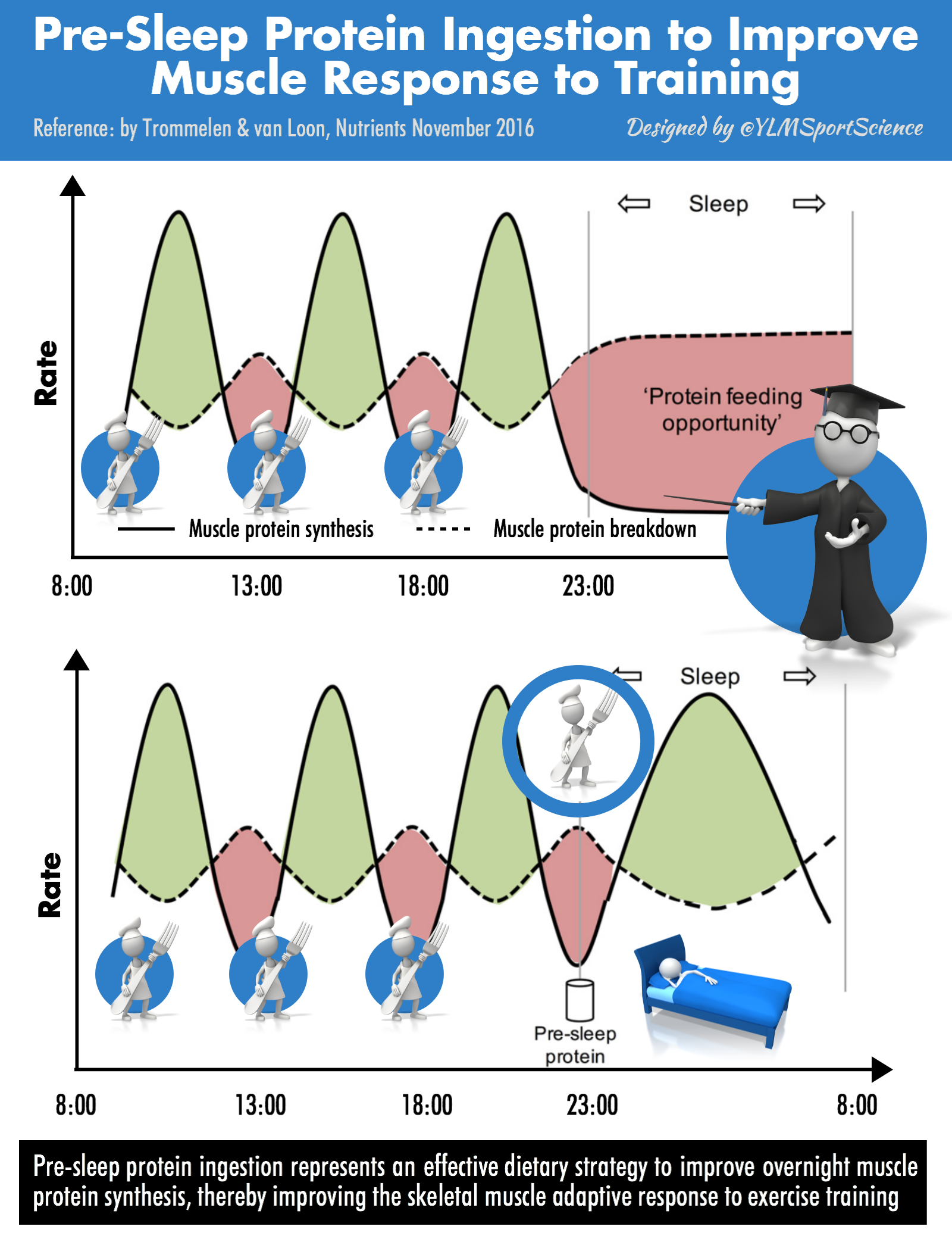 Pre-Sleep Protein Ingestion to Improve Muscle Response to Training ...
