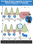 Pre-Sleep Protein Ingestion to Improve Muscle Response to Training ...