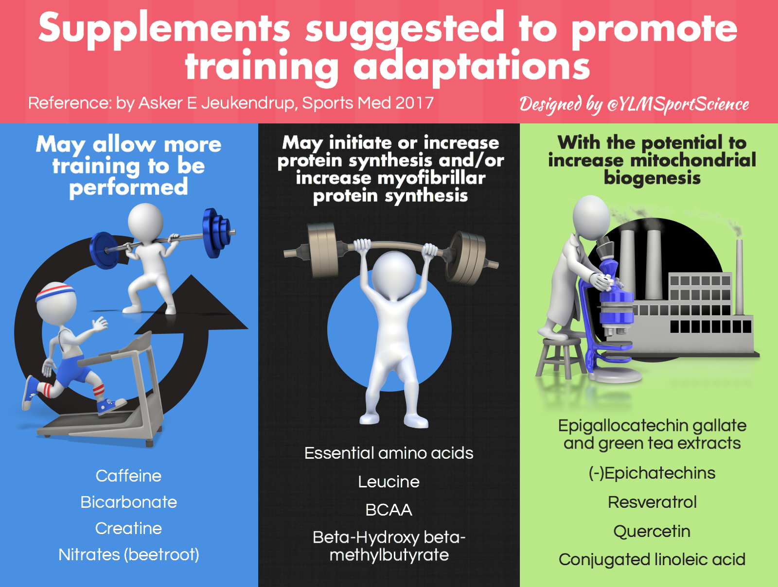 Training adaptations – YLMSportScience