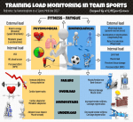 Training Load Monitoring in Team Sports: A Novel Framework Separating ...