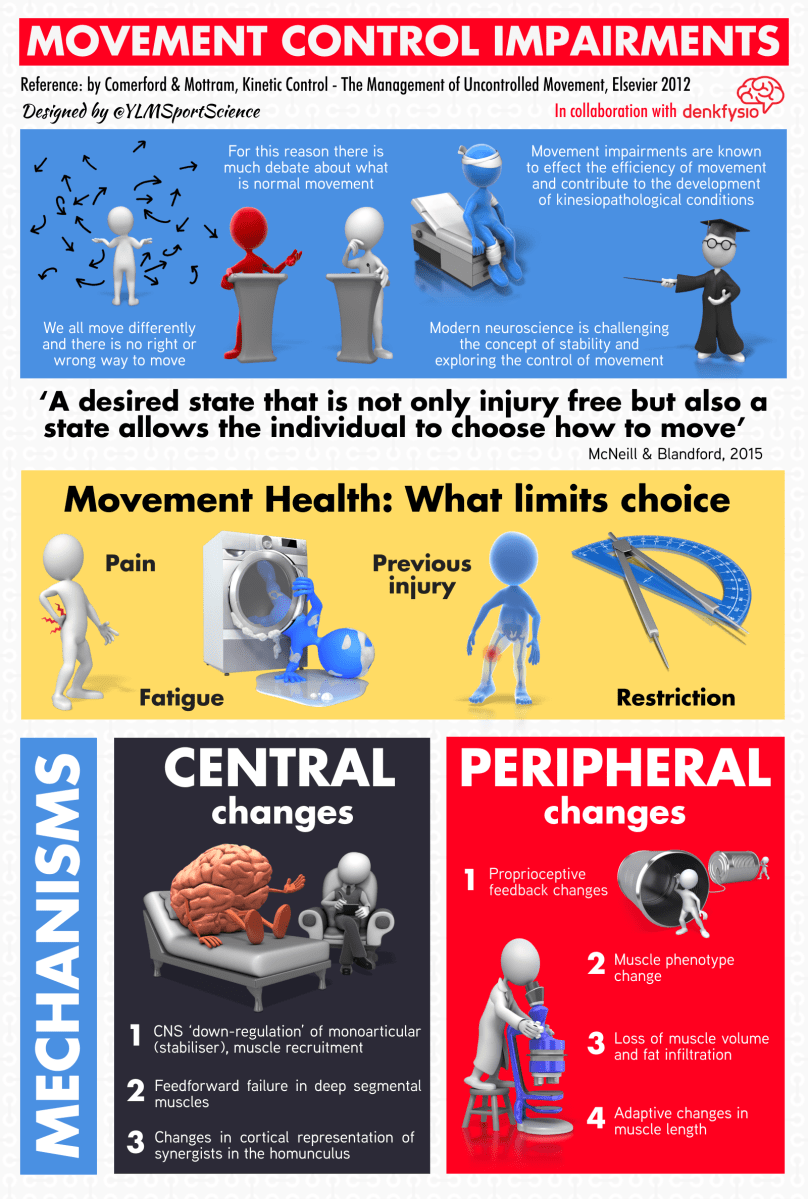 Kinetic control – YLMSportScience