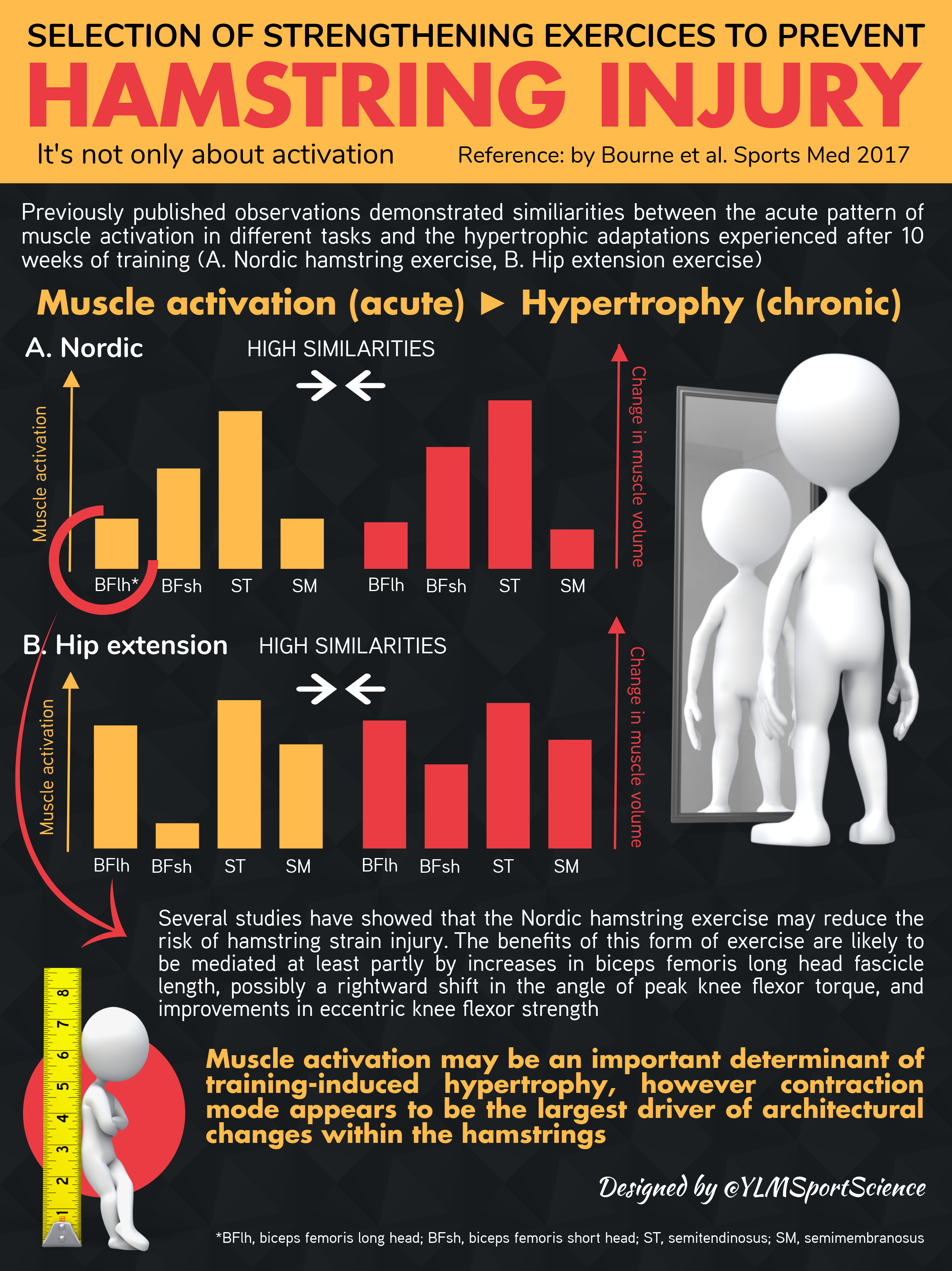 Selection of Strengthening Exercises to Prevent Hamstring Injury: It’s ...