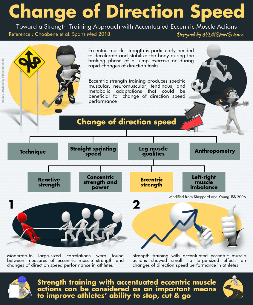 Change of Direction Speed : Toward a Strength Training Approach with ...