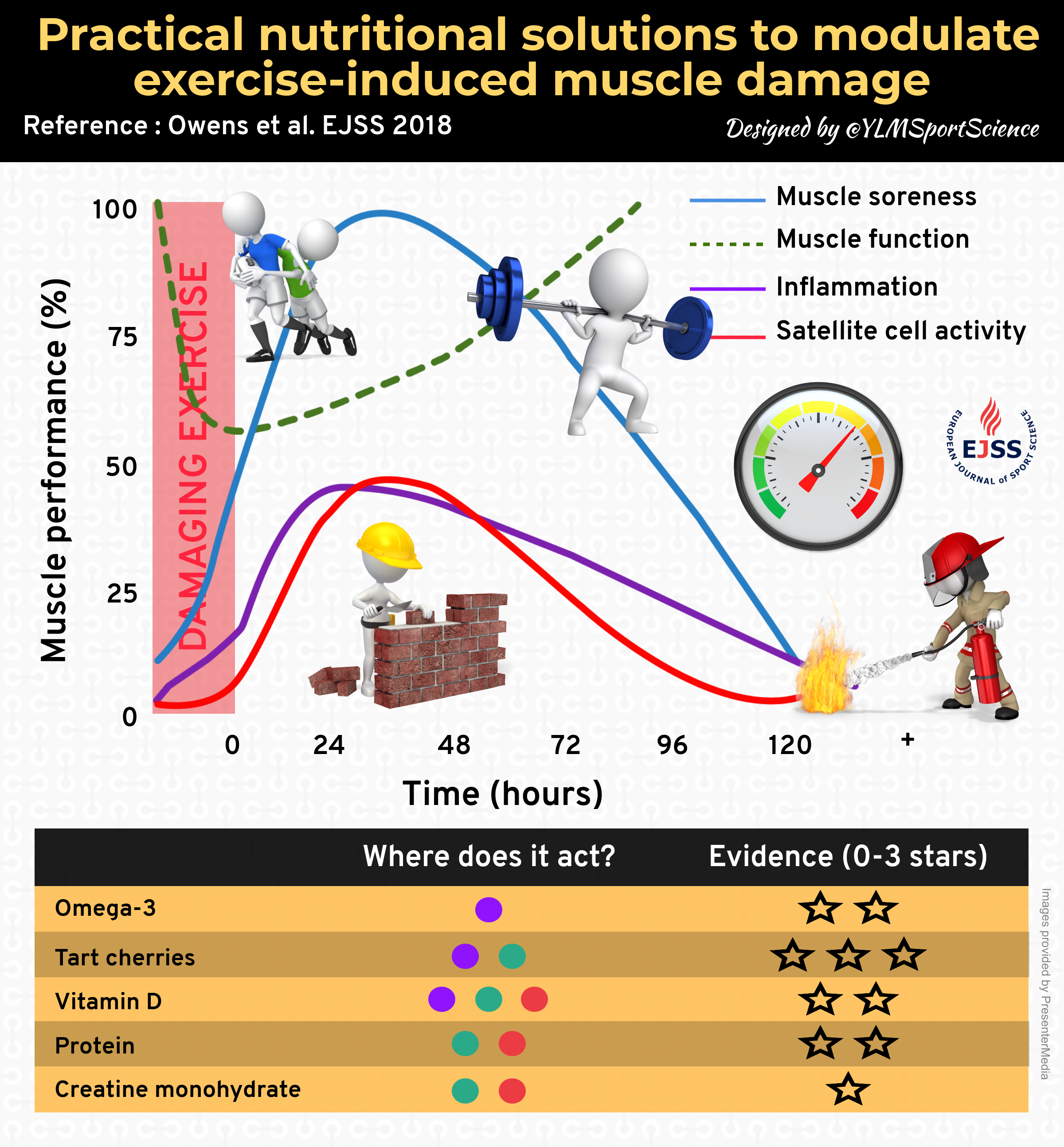 Practical nutritional solutions to modulate exercise-induced muscle ...