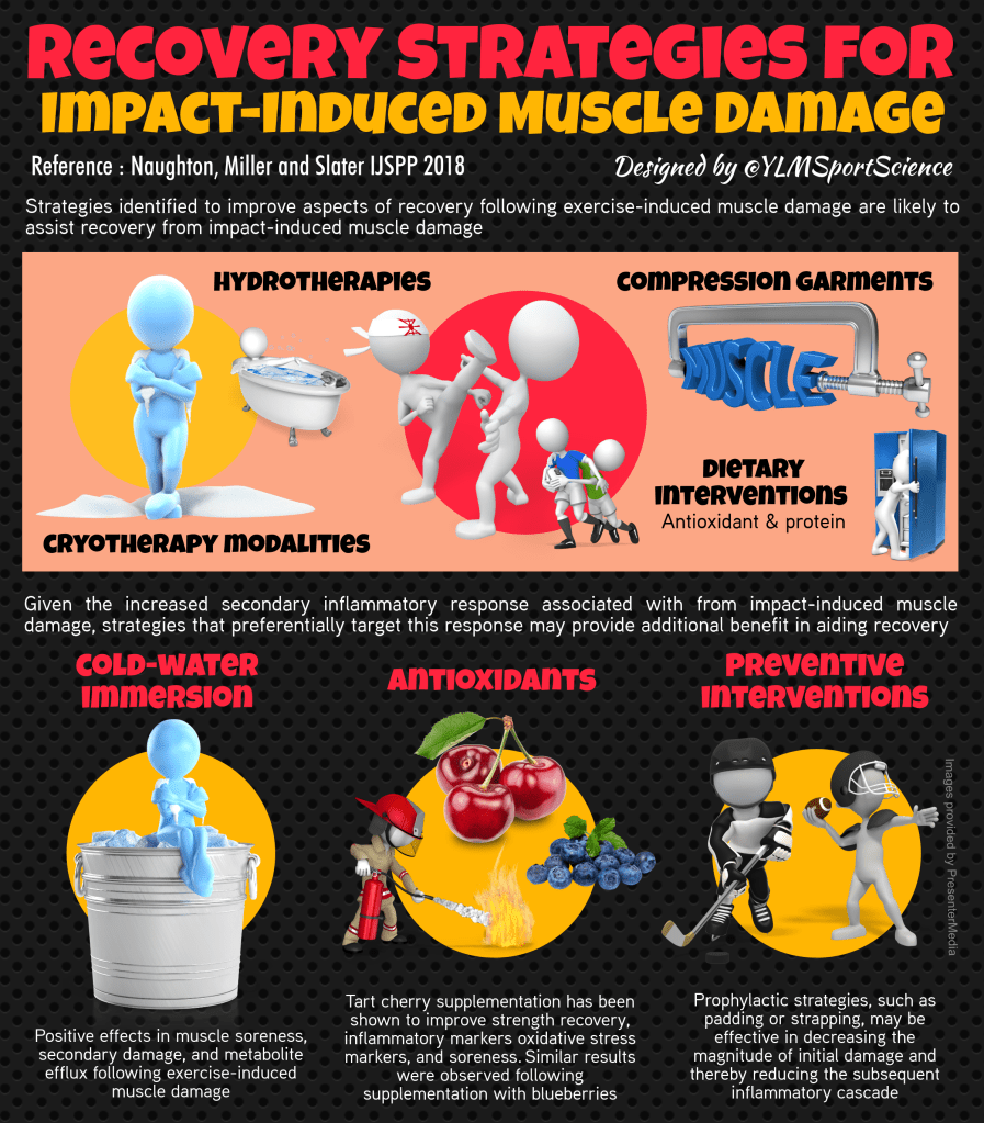 Recovery strategies for impact-induced muscle damage – YLMSportScience