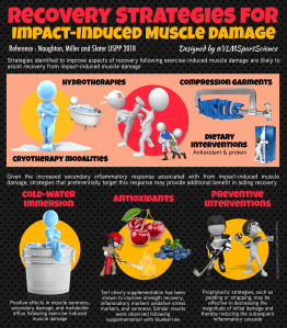 Recovery strategies for impact-induced muscle damage – YLMSportScience