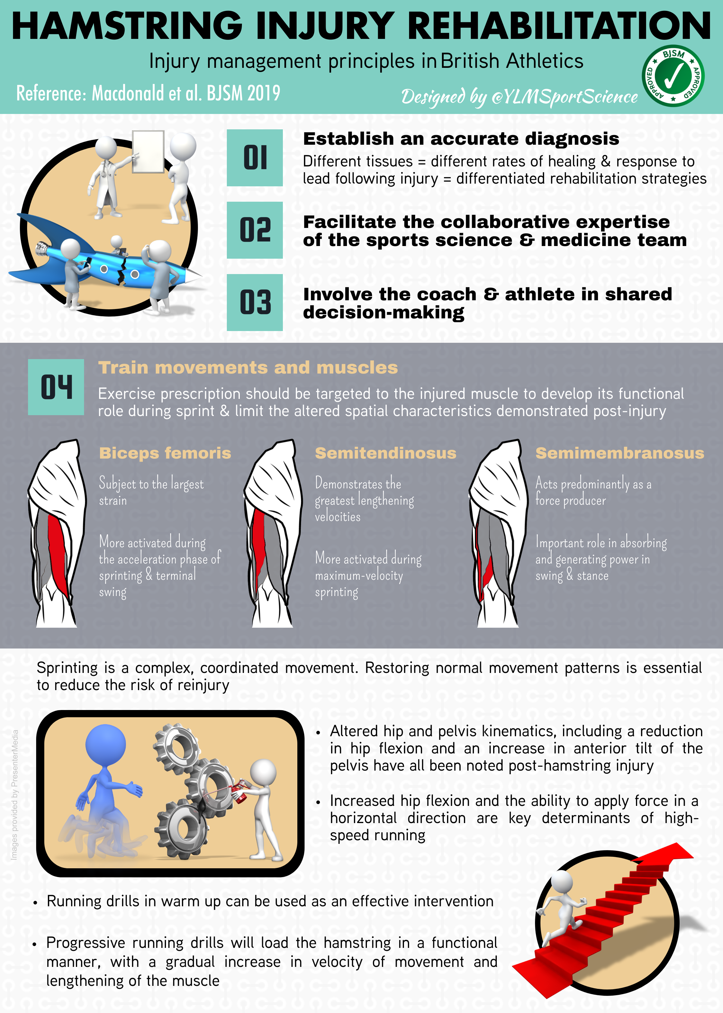 Hamstring injury rehabilitation: injury management principles in ...