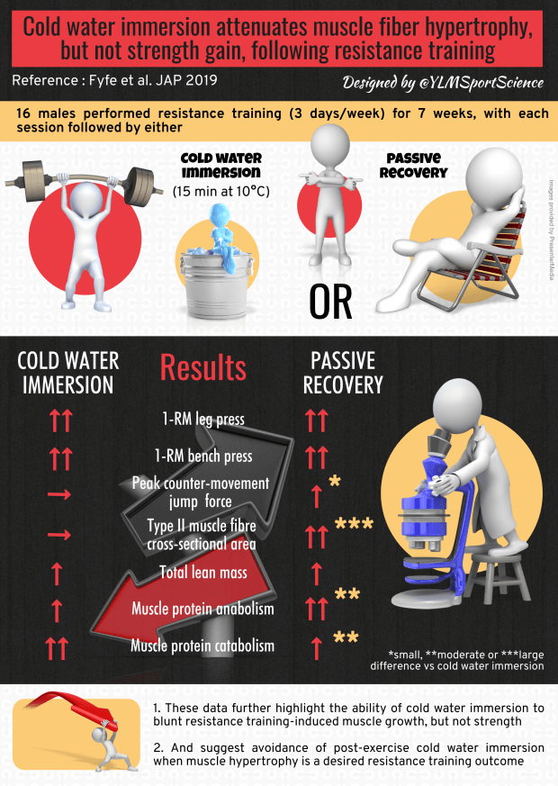 Cold water immersion attenuates muscle fiber hypertrophy, but not ...