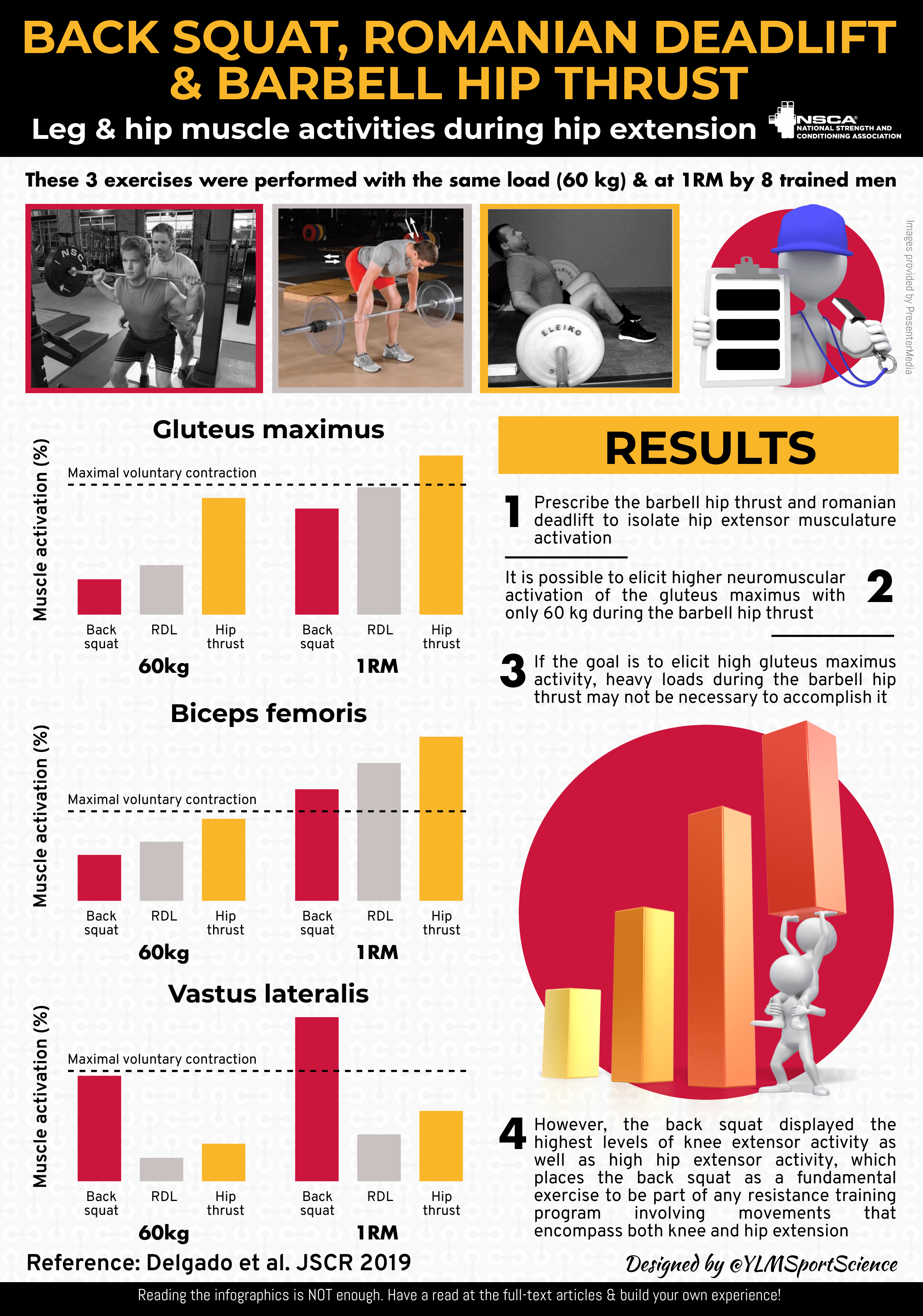 Back squat, romanian deadlift & barbell & hip thrust: leg & hip muscle ...