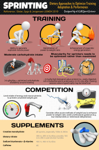 SPRINTING : Dietary Approaches to Optimize Training Adaptation ...