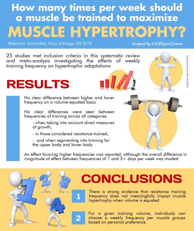 How a many times per week should a muscle be trained to maximize muscle ...
