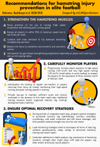 Recommendations for hamstring injury prevention in elite football ...