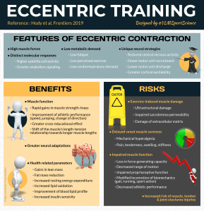 Eccentric training: features, benefits & risks – YLMSportScience