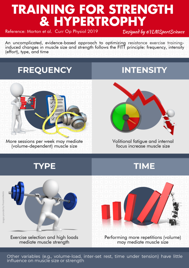 Training for strength & hypertrophy – YLMSportScience