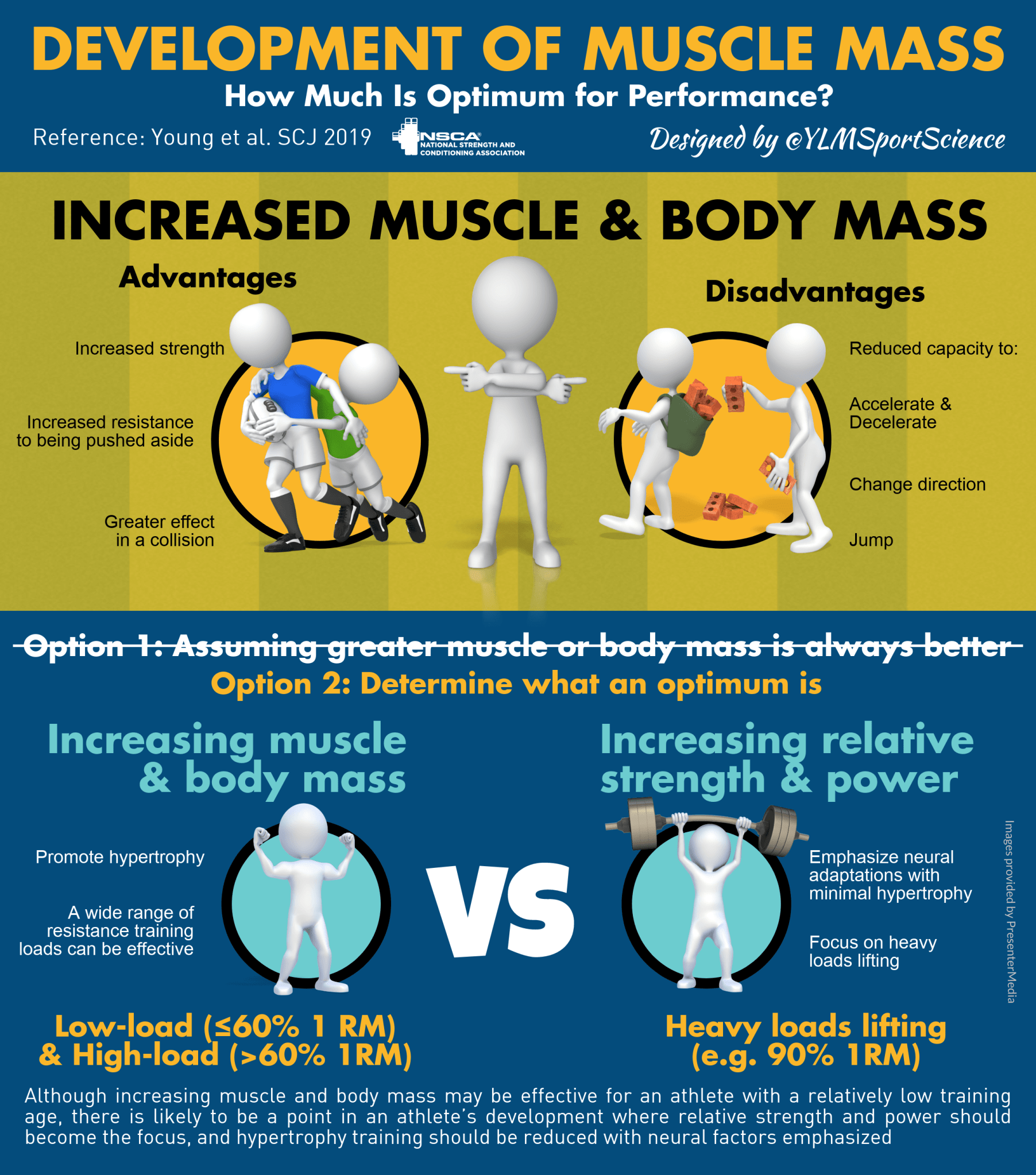 Developement of muscle mass: how much is optimum for performance ...