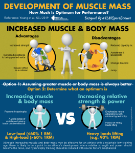Developement of muscle mass: how much is optimum for performance ...