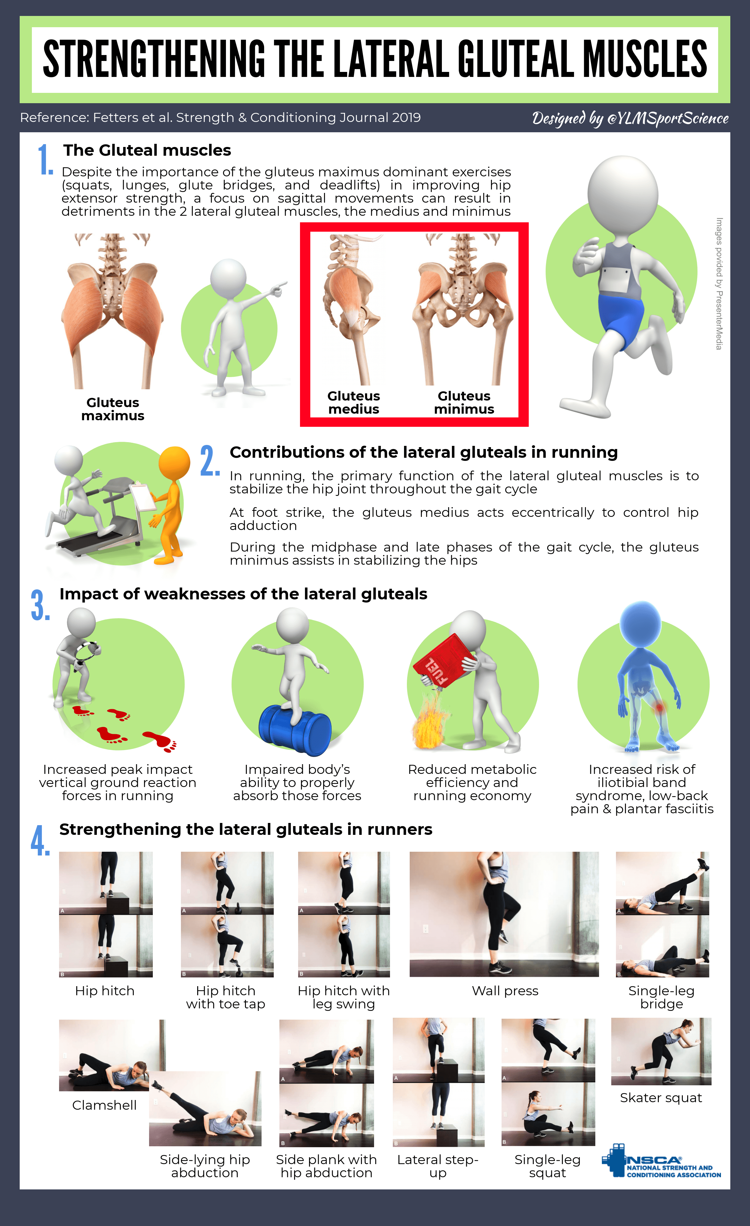 Are plant proteins in diet healthier than animal proteins? Yes ...