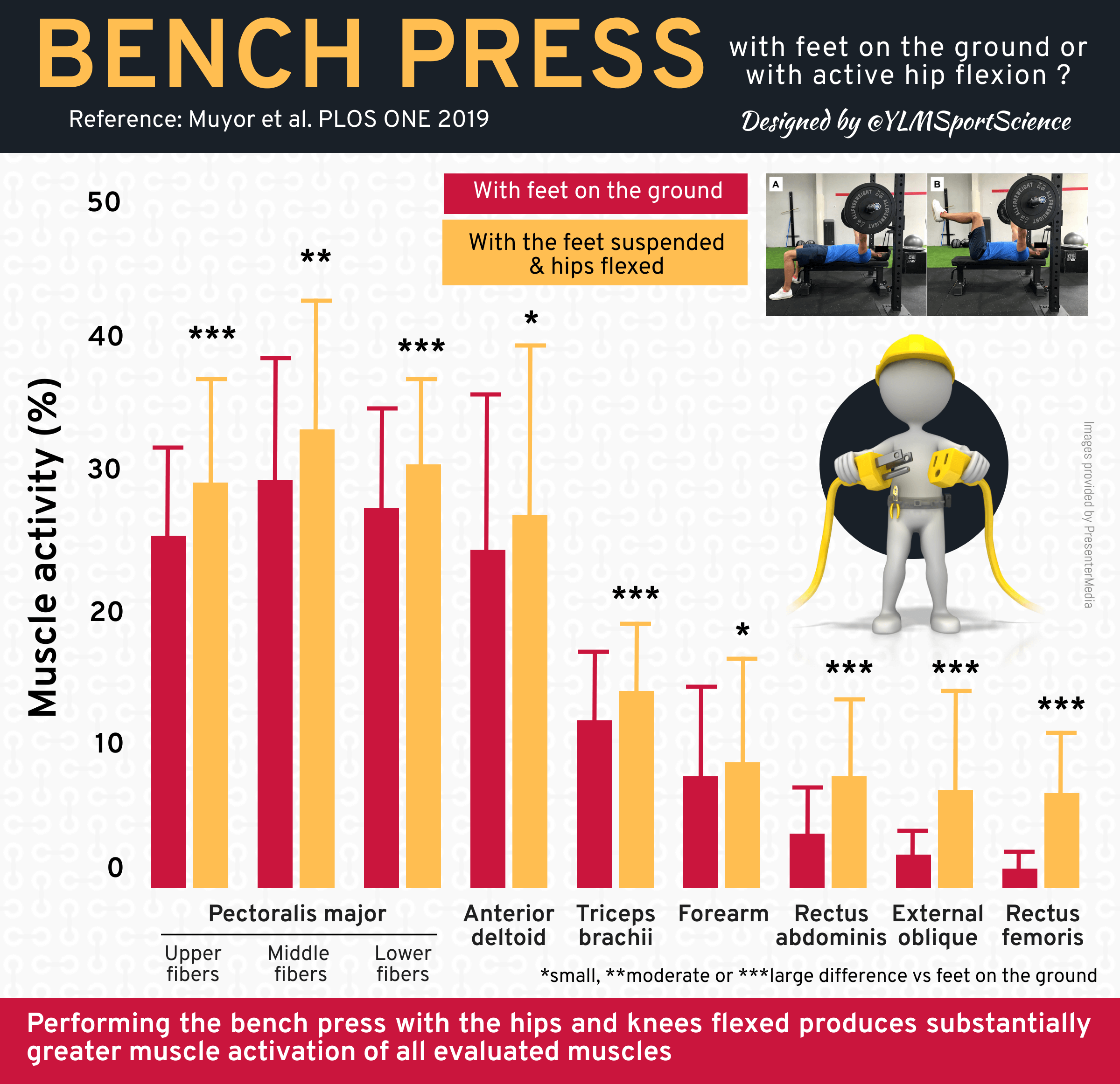 Bench Press Muscle Chart