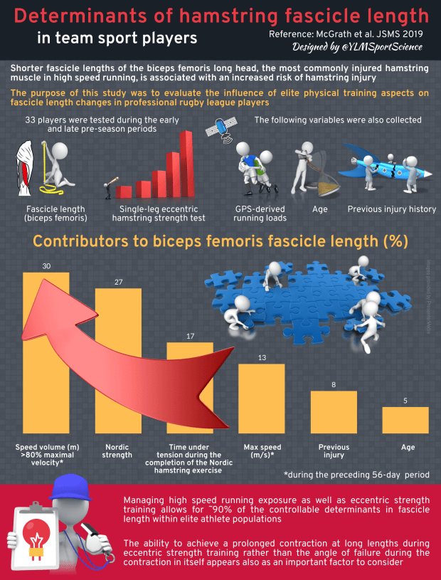 Determinants of hamstring fascicle length in professional team sport ...