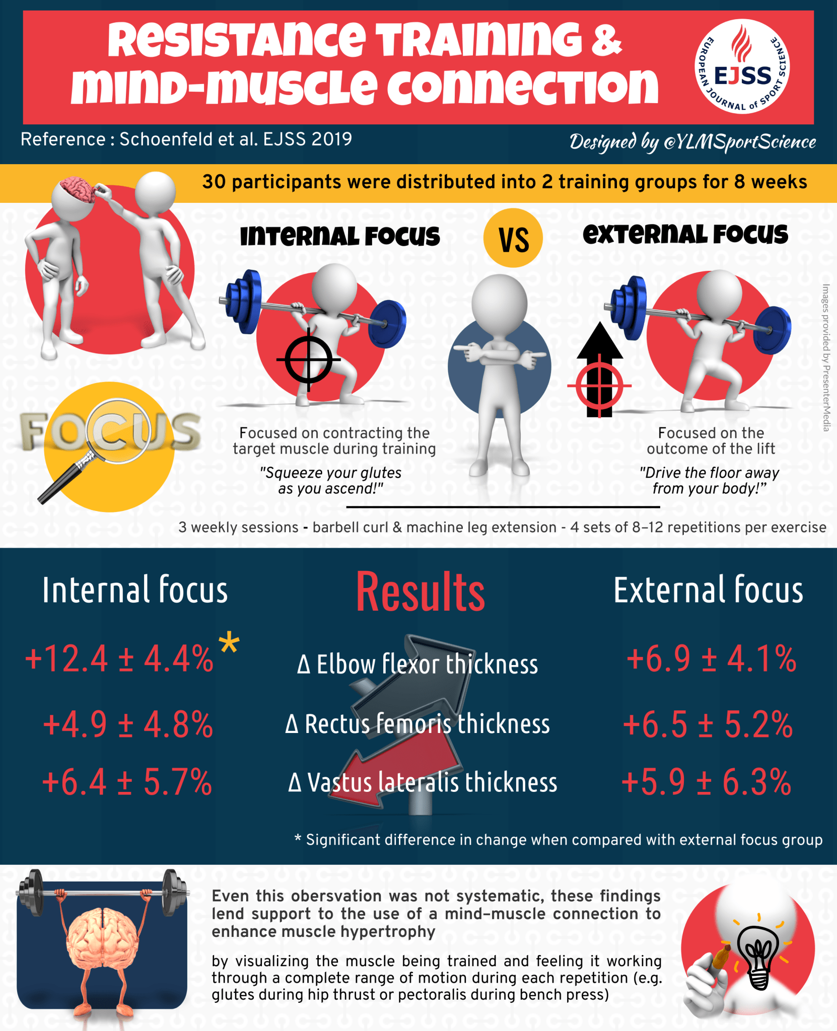 Muscle – YLMSportScience