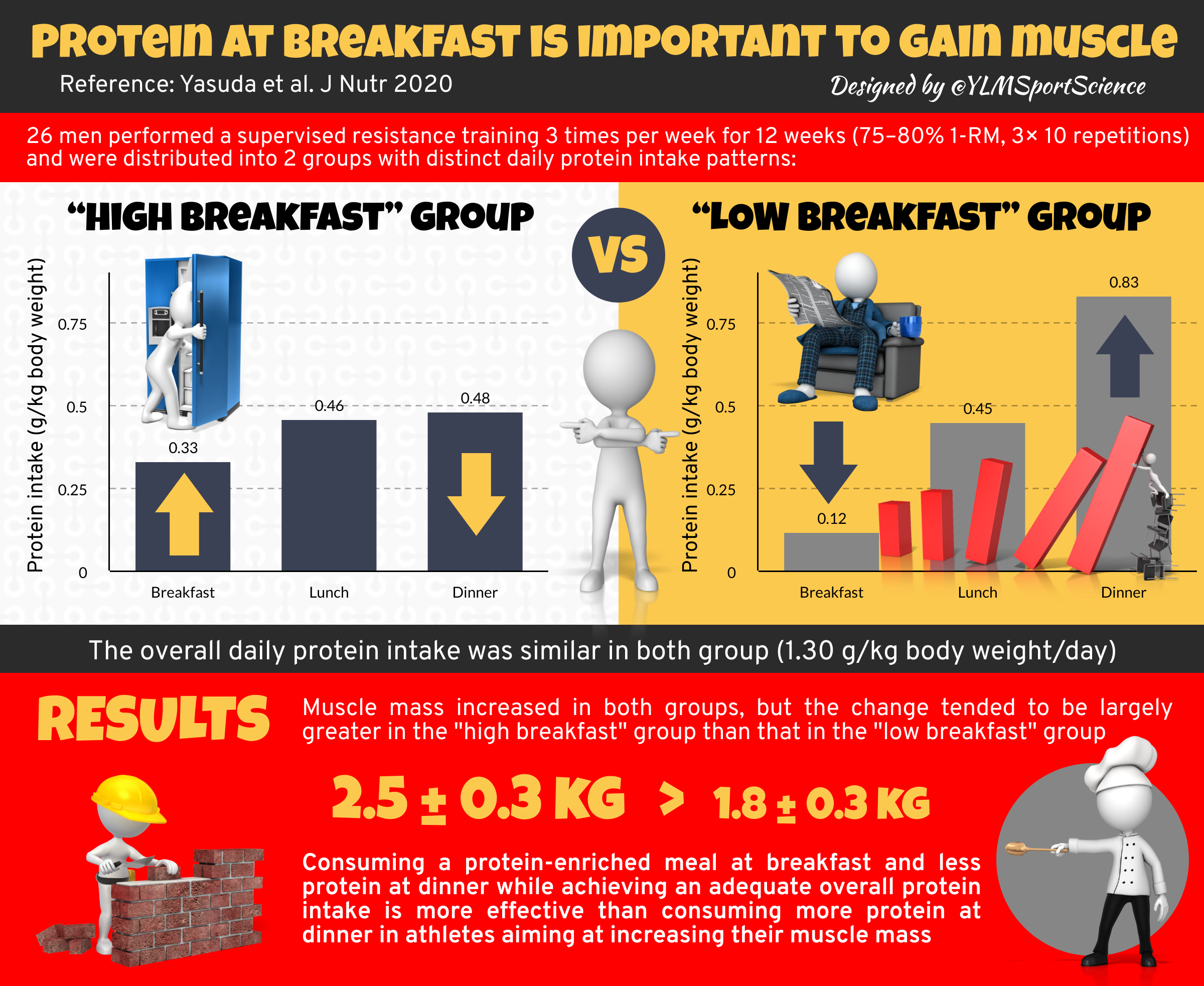Muscle – YLMSportScience
