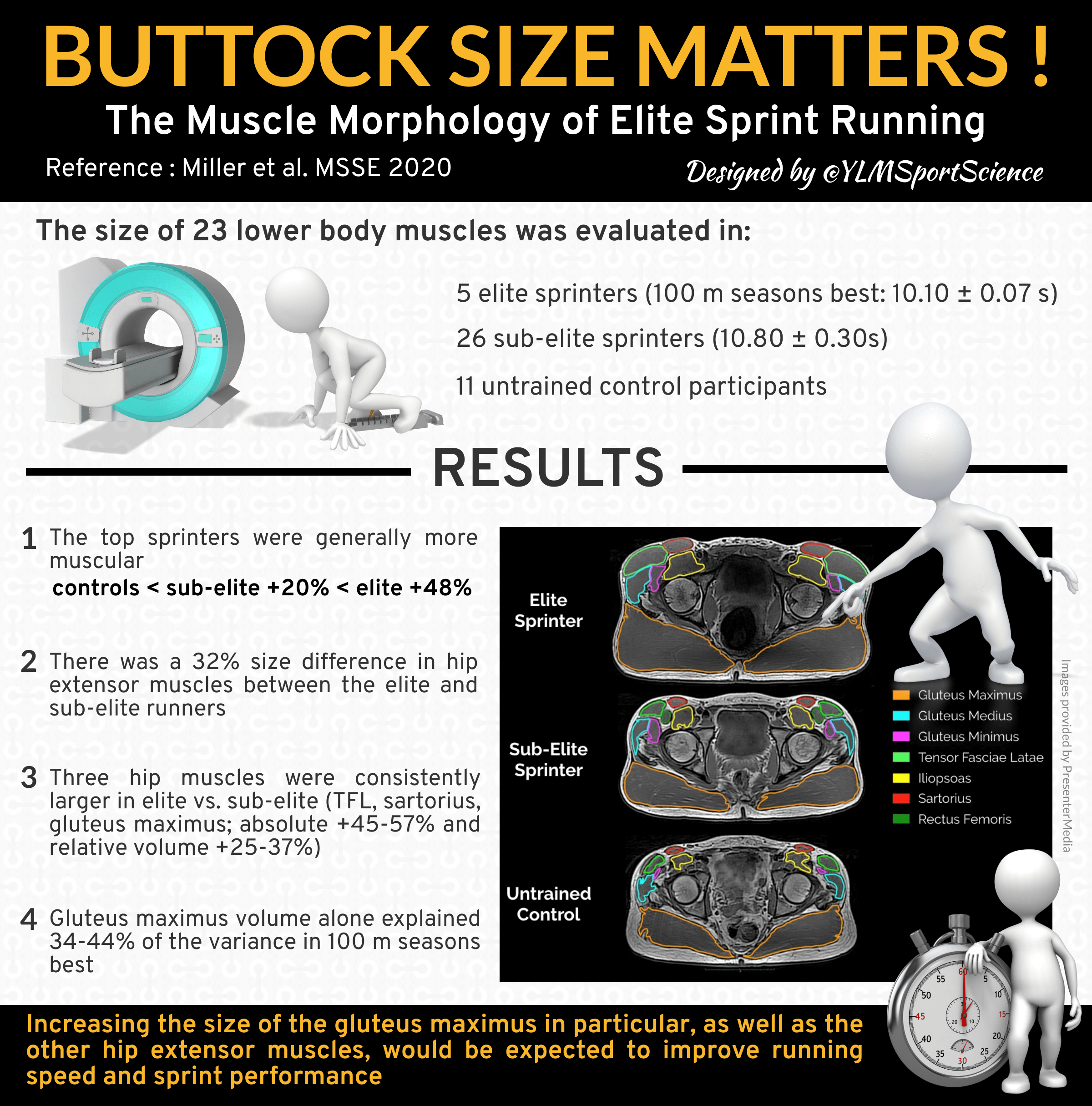 The muscle morphology of elite sprint running: buttock size matters ...