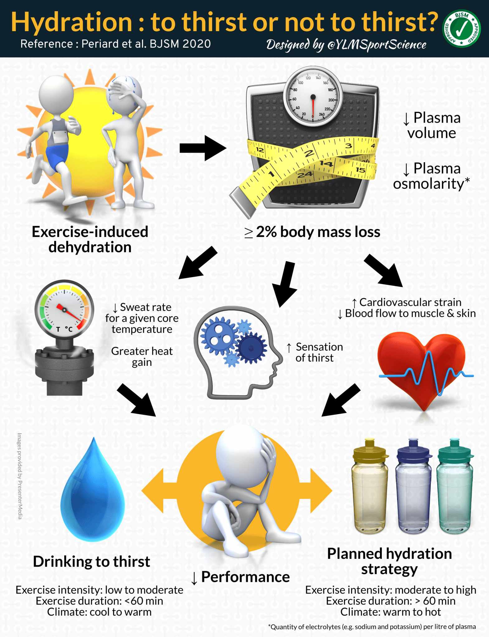 Hydration : to thirst or not to thirst? – YLMSportScience
