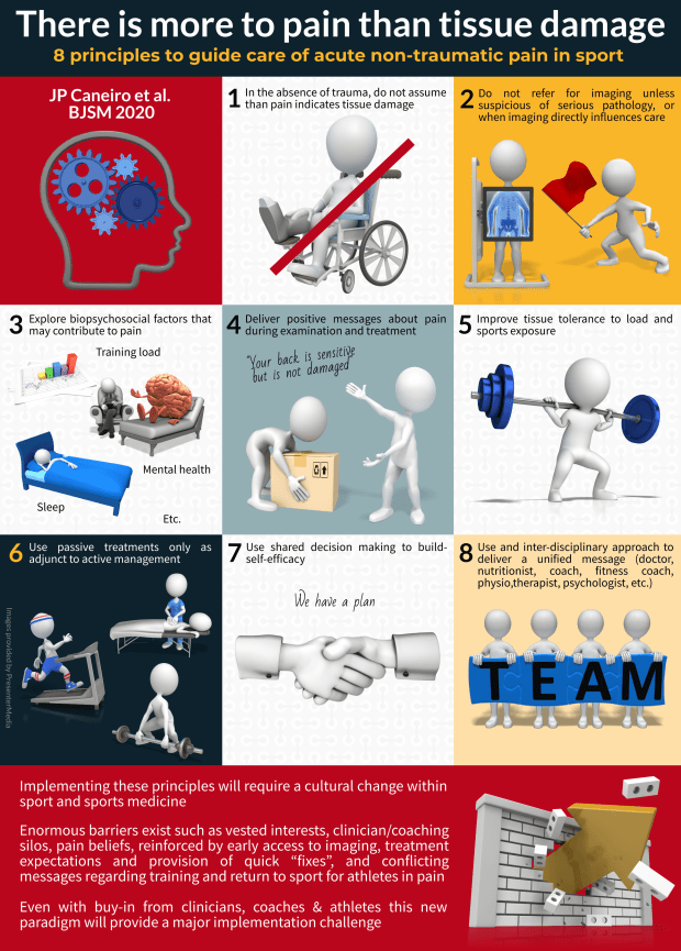 There is more to pain than tissue damage: 8 principles to guide care of ...