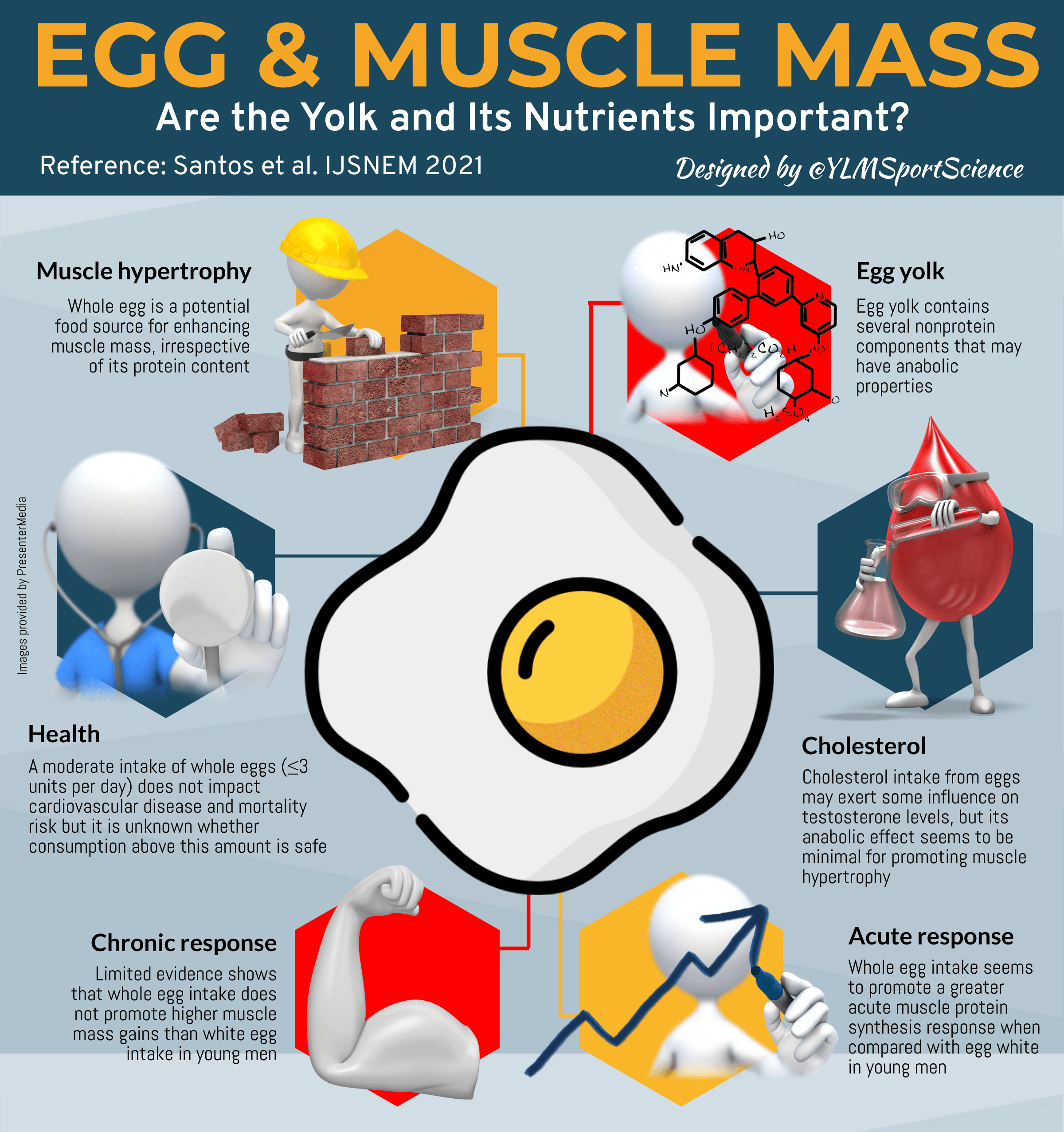 Egg & muscle mass: Are the Yolk and Its Nutrients Important ...