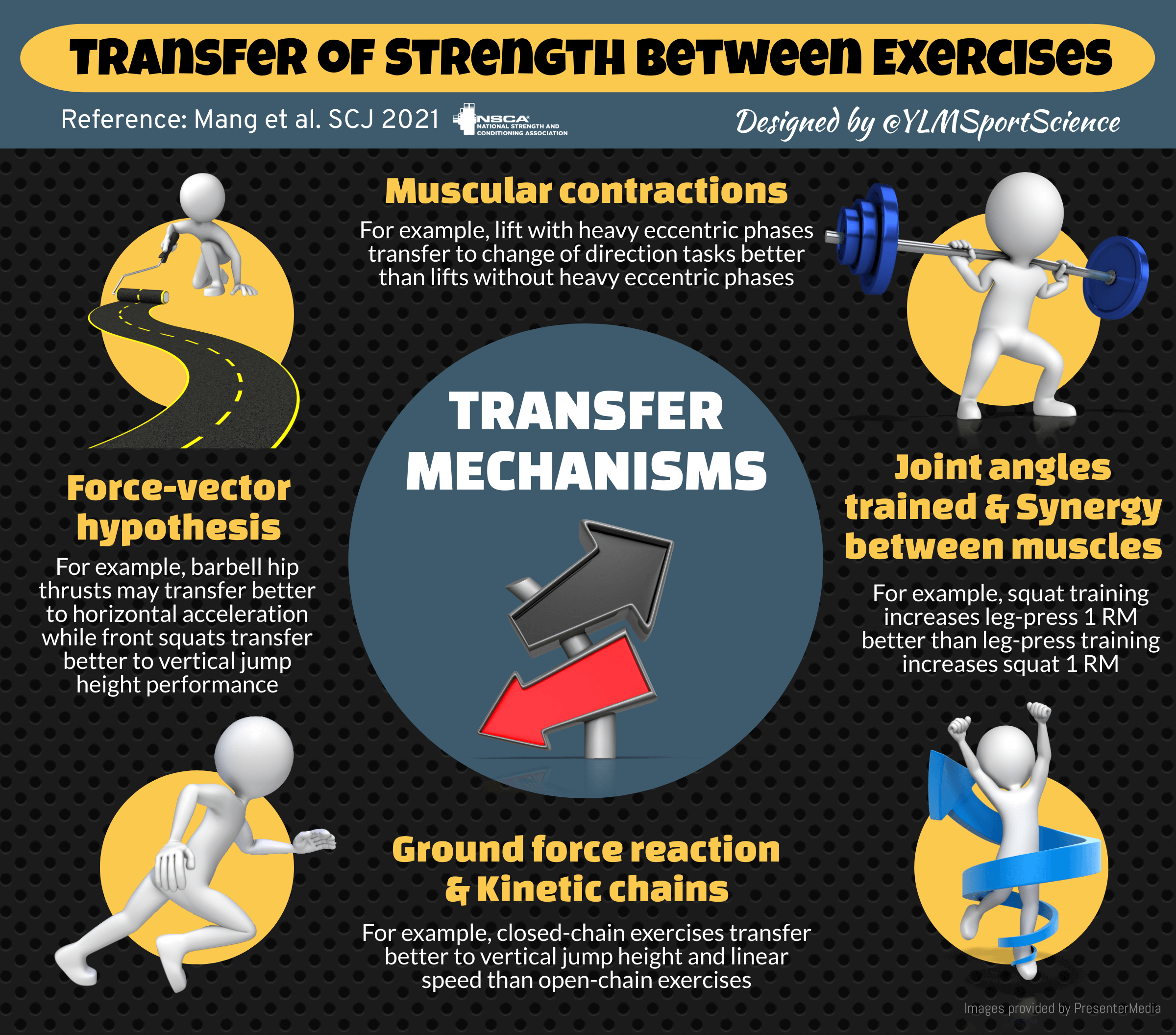 Transfer between lifts: increased strength in untrained exercises ...