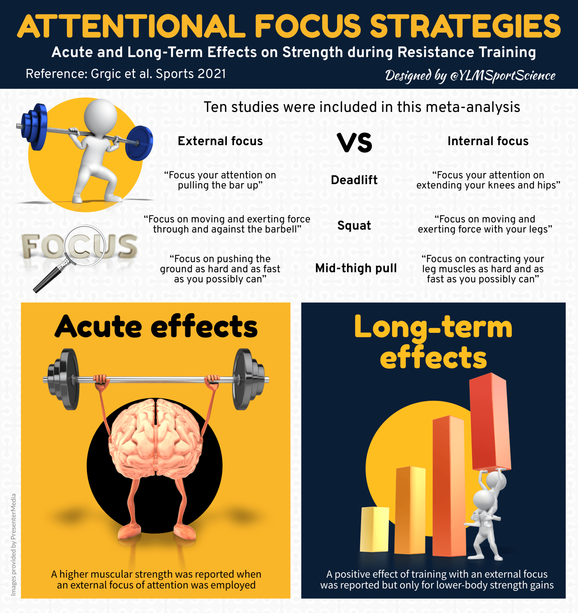 The mind-muscle connection: acute and long-term effects of attentional ...