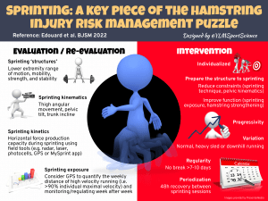 Sprinting: a key piece of the hamstring injury risk management puzzle ...