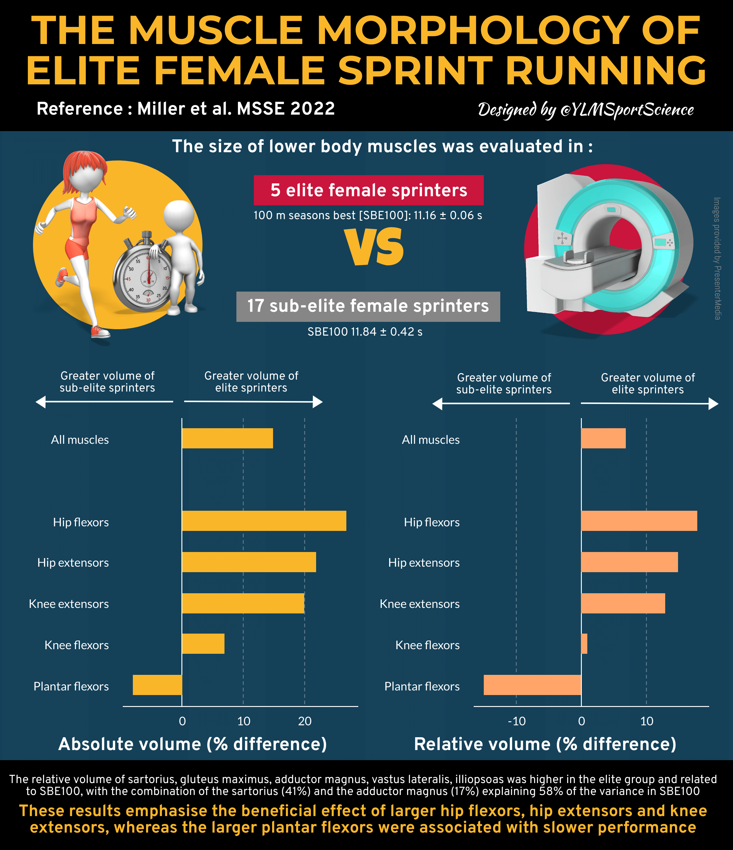 The Muscle Morphology of Elite Female Sprint Running – YLMSportScience