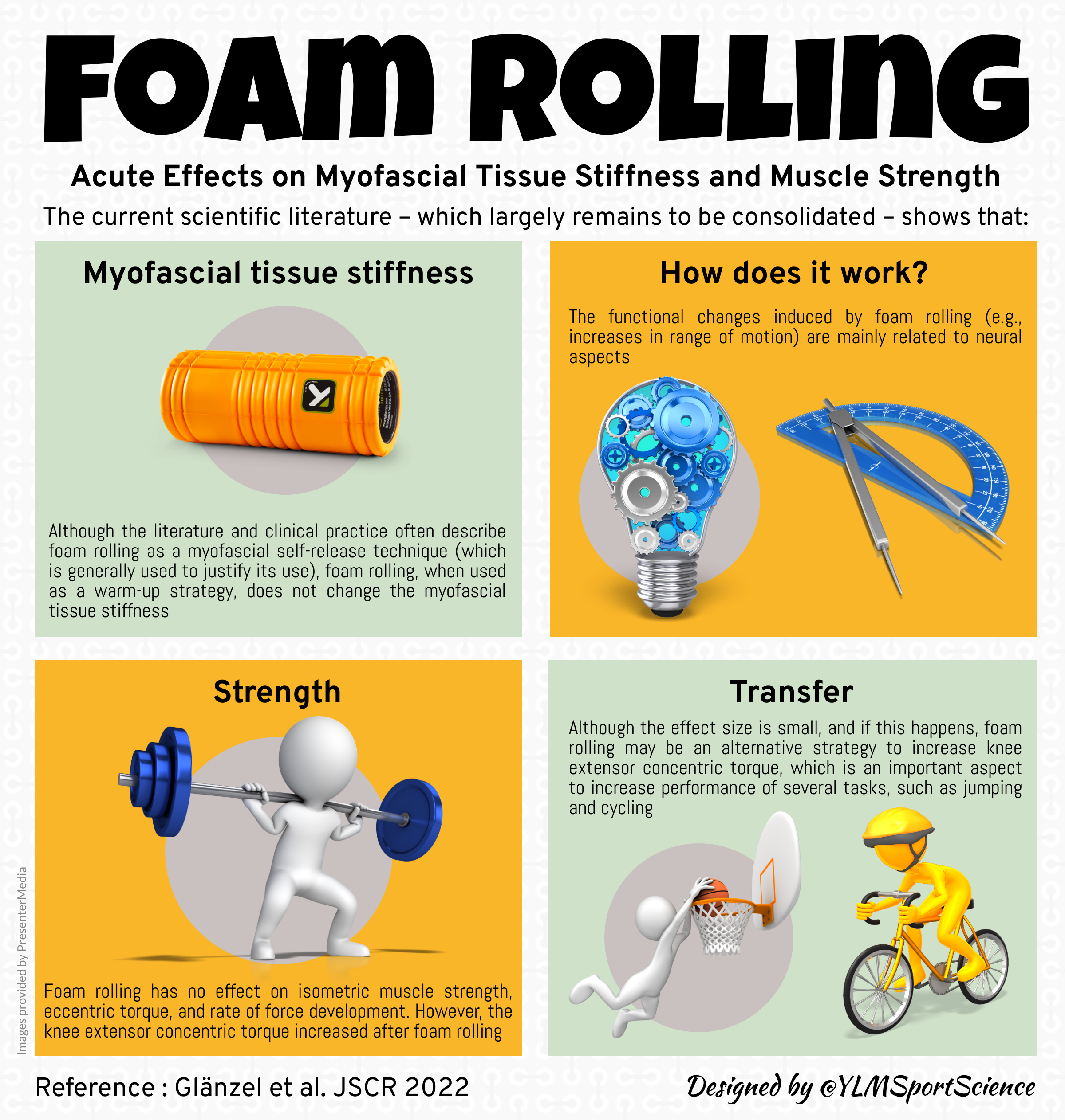 Foam Rolling Acute Effects on Myofascial Tissue Stiffness and Muscle Strength – YLMSportScience