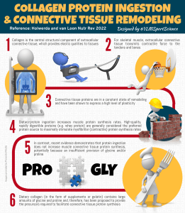 Nutrition – YLMSportScience